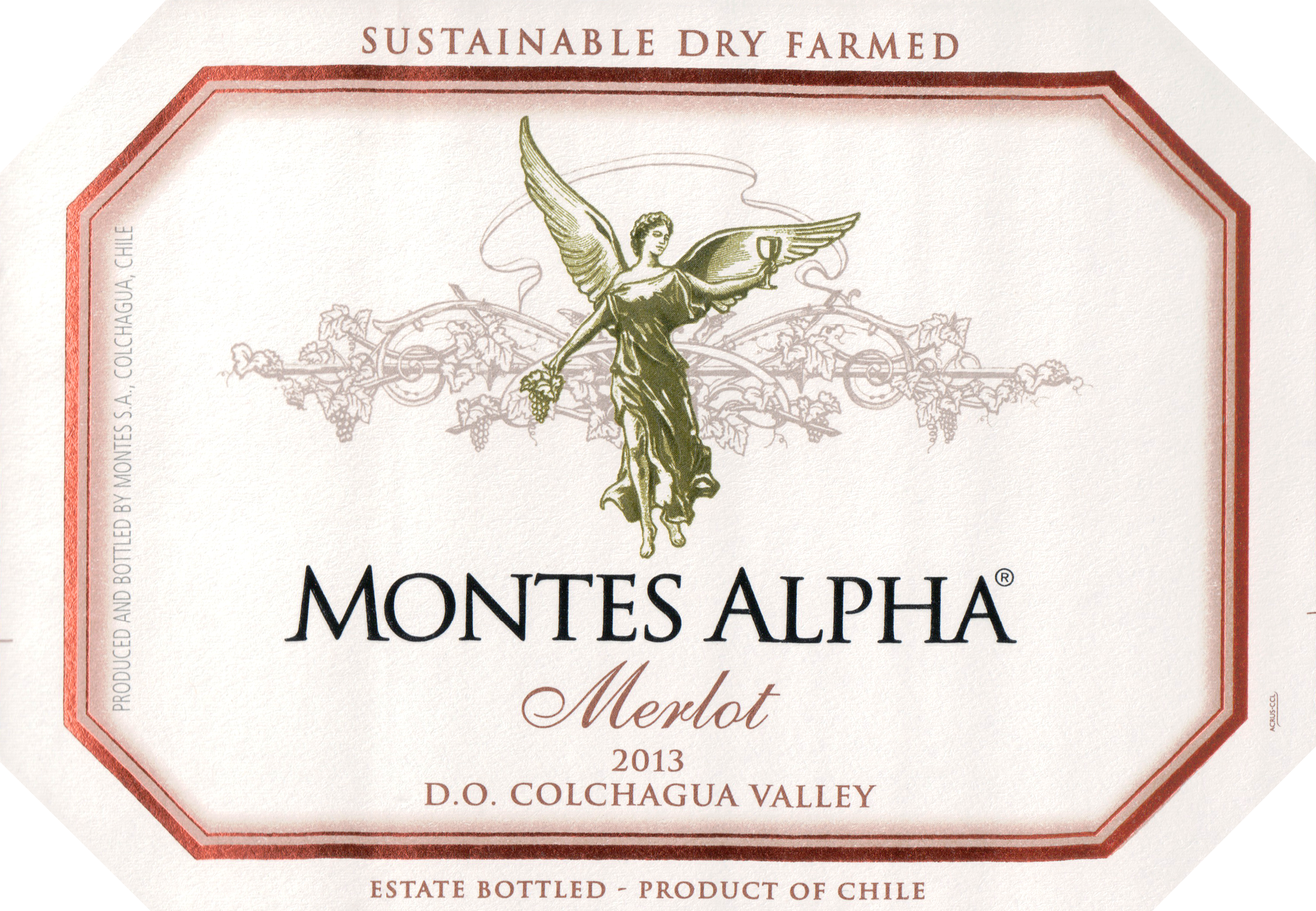 2013 Montes Alpha Merlot | Wine Library