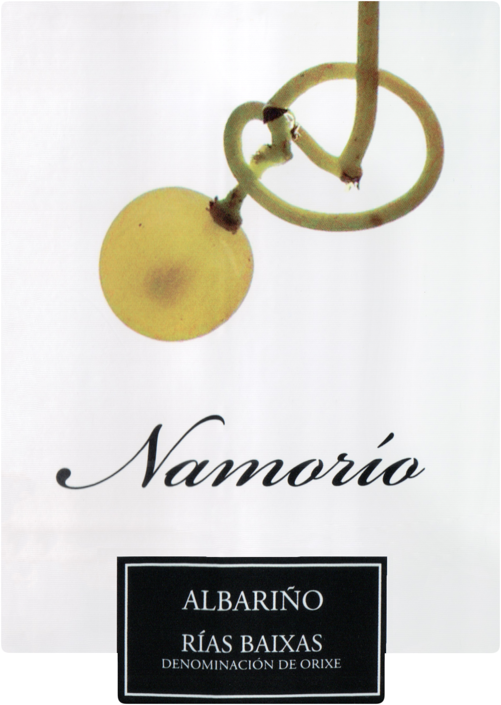 2016 Bodegas Valdamor Albarino Namorio | Wine Library