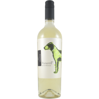 2017 Bruno Trapan Istrian Malvazija Ponente | Wine Library