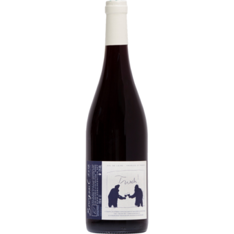 2017 Catherine & Pierre Breton Bourgueil Trinch | Wine Library