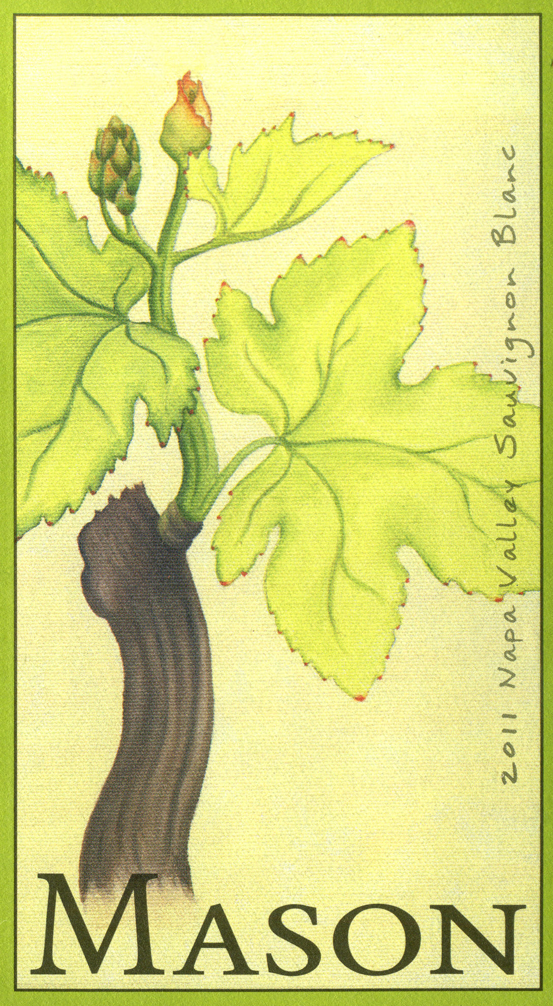 2011 Mason Cellars Sauvignon Blanc | Wine Library