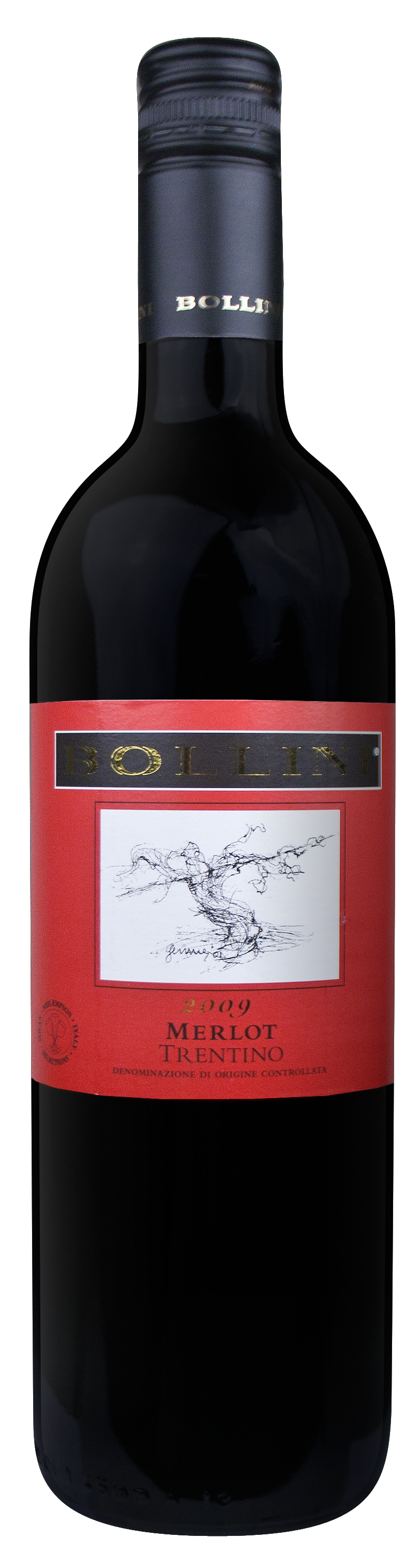 2009 Bollini Merlot | Wine Library