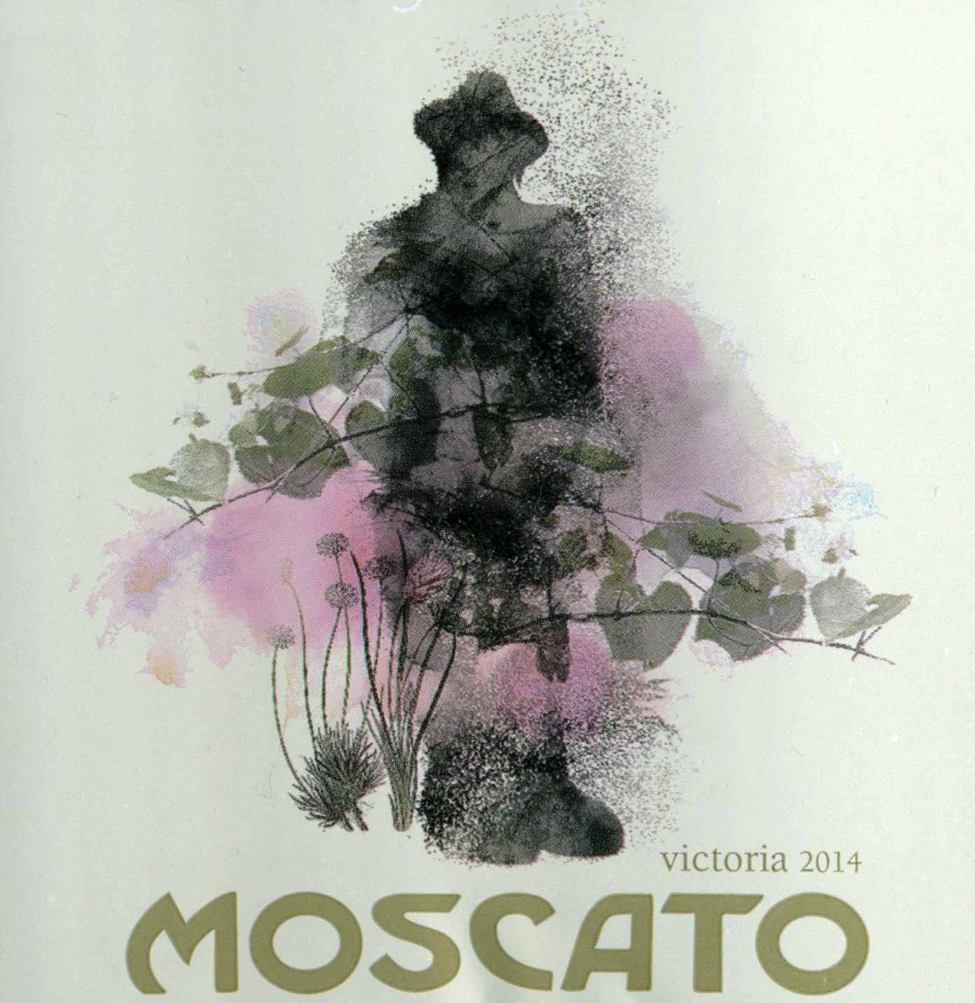 2014 Innocent Bystander Pink Moscato | Wine Library