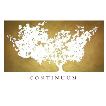 2013 Continuum Proprietary Red | Wine Library
