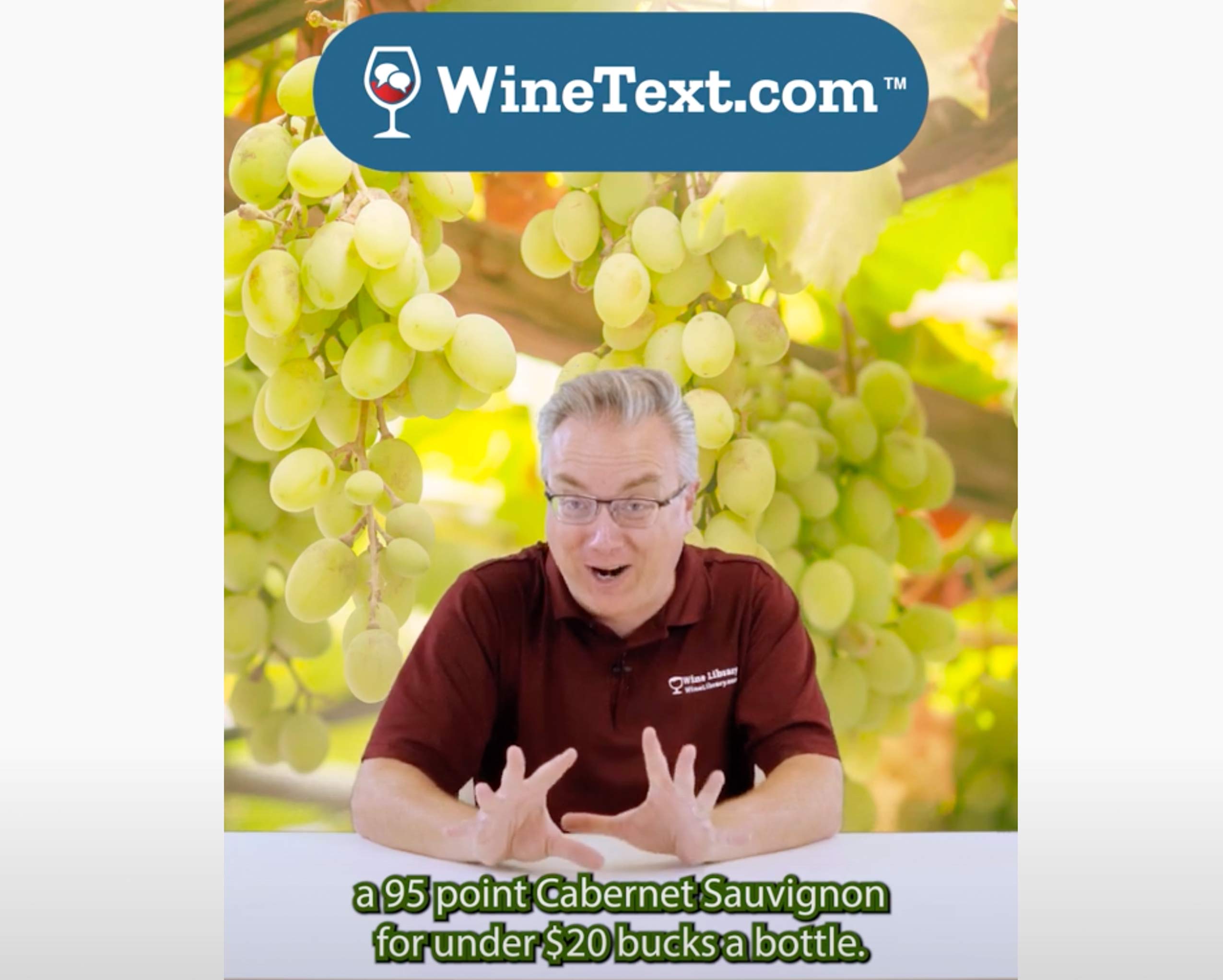 The 95 Point Summer Cabernet You Need To Try!